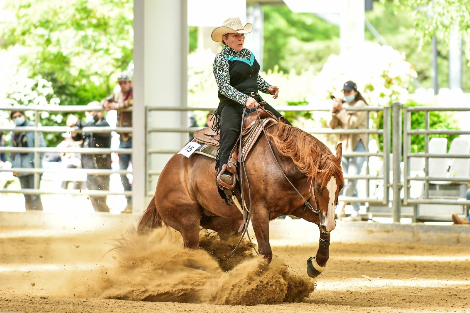 RENCONTRE AVEC… Michèle Pfender, juge NRHA de Reining ! - FRANCE WESTERN